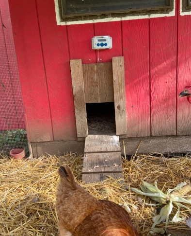 Best Automatic Chicken Coop Doors – backyardchickenbarn.com