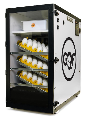Best Egg Incubators for 2024/2025 – backyardchickenbarn.com